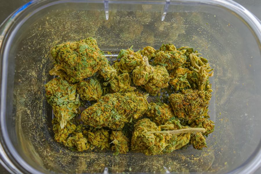 What Is THCA Flower Everything You Need To Know In 2025 What Is THCA Flower Everything You Need To Know In 2025